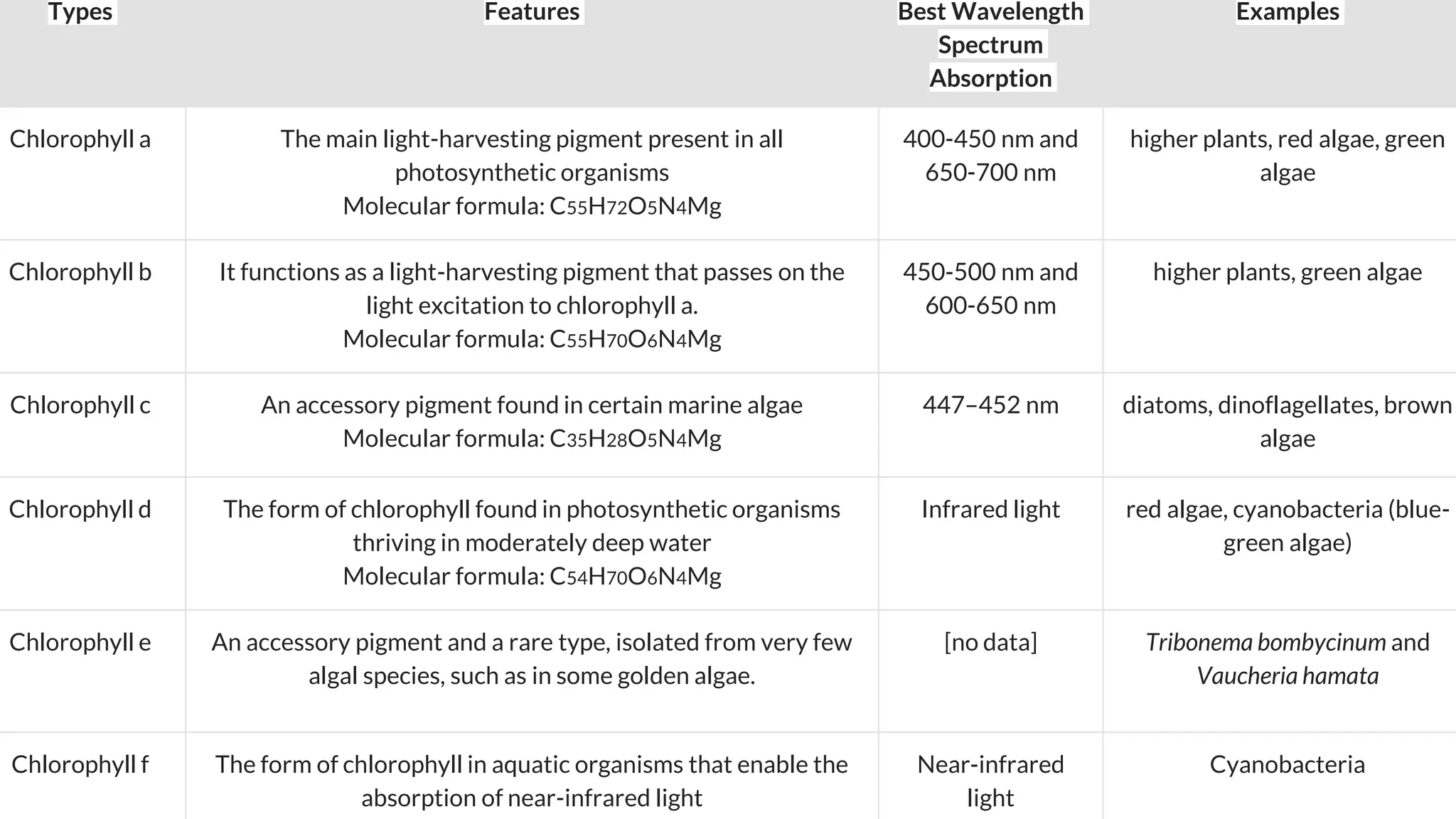 CHLOROPHYLL PIGMENT (1).pptx
