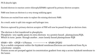 CHLOROPHYLL PIGMENT (1).pptx