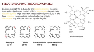 CHLOROPHYLL PIGMENT (1).pptx