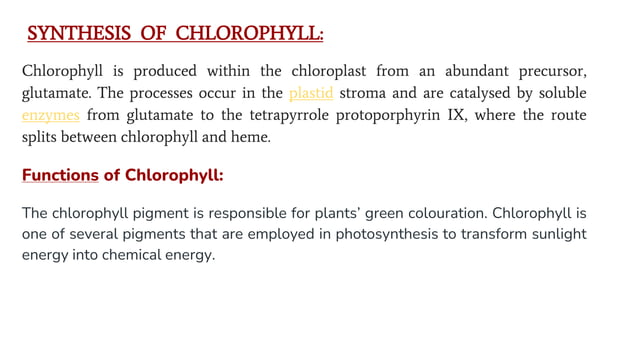CHLOROPHYLL PIGMENT (1).pptx | Chemistry | Science
