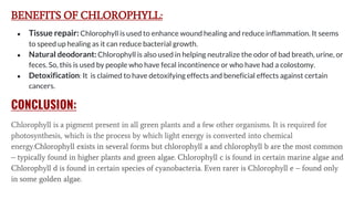 CHLOROPHYLL PIGMENT (1).pptx