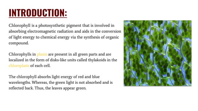 CHLOROPHYLL PIGMENT (1).pptx | Chemistry | Science