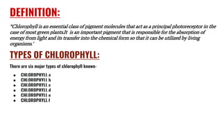 CHLOROPHYLL PIGMENT (1).pptx