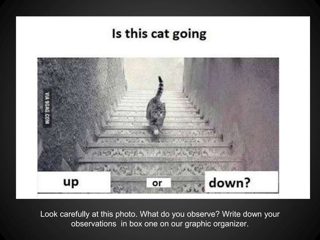 Claim evidence and reasoning presentation | PPTX | Science