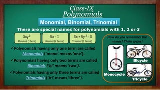 Polynomials for class 9th | PPT