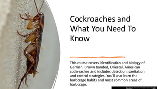 Cockroaches and What You Need to Know 1 (1).pptx.pdf
