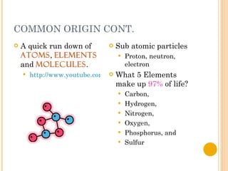 Copy of common origin | PPT
