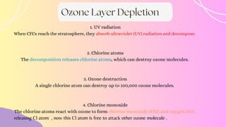 Presentation on Ozone layer and it's depletion causes and effects by ...