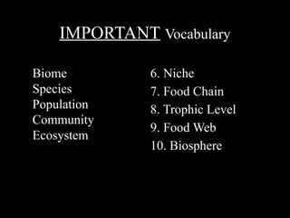 Basic Ecology Notes- food web/chain/trophic levels | PPTX
