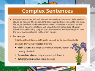Copy of Copy of Simple, Complex, and Compound Sentences PowerPoint ...