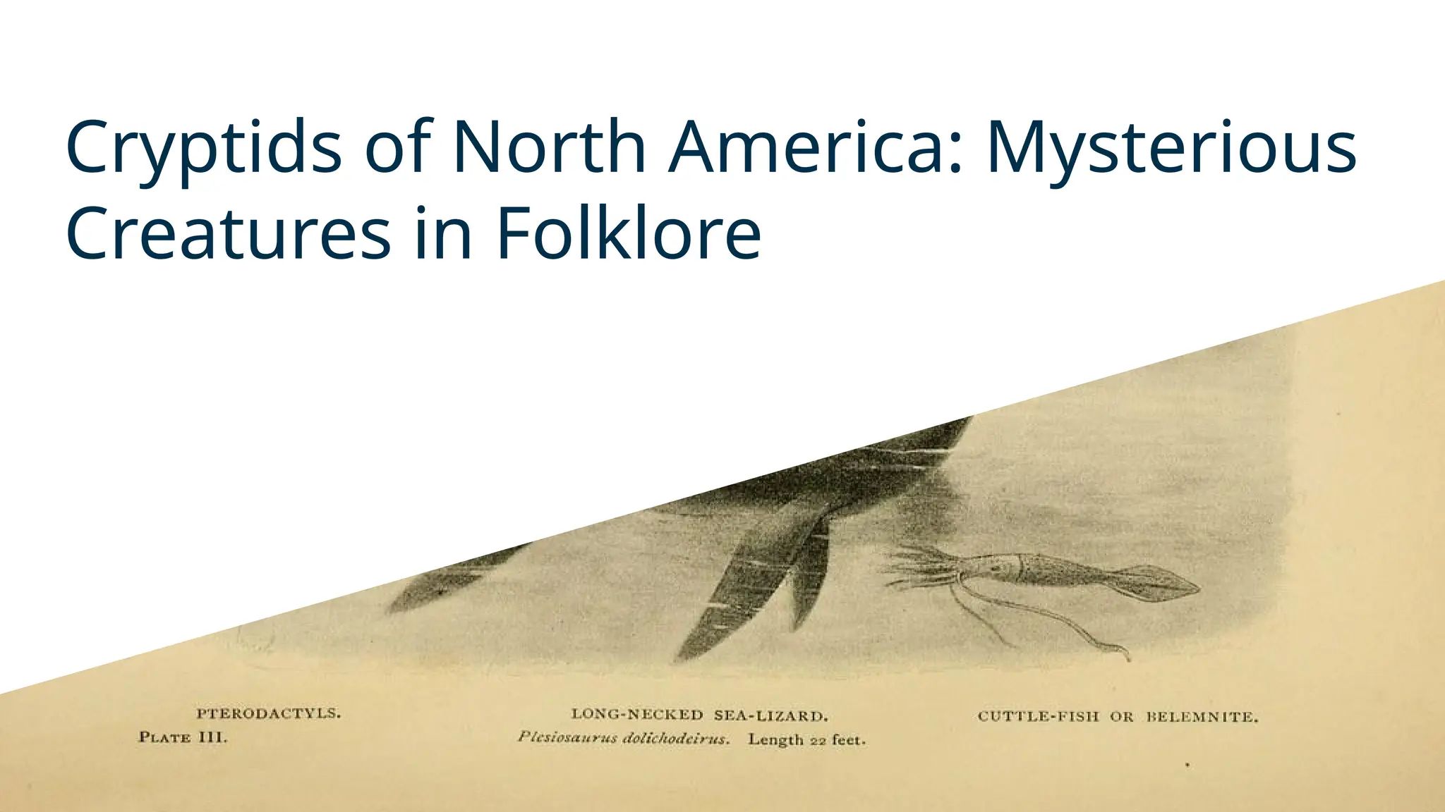 Copy of Cryptids of North America_ Mysterious Creatures in Folklore (1).pptx
