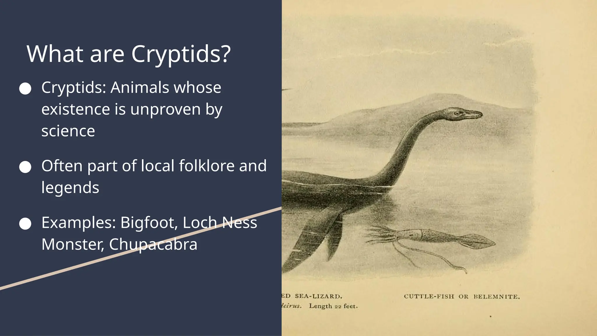 Copy of Cryptids of North America_ Mysterious Creatures in Folklore (1).pptx