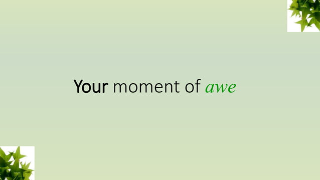 Trees and Transition - Deena Shaffer & John Hannah | PPT