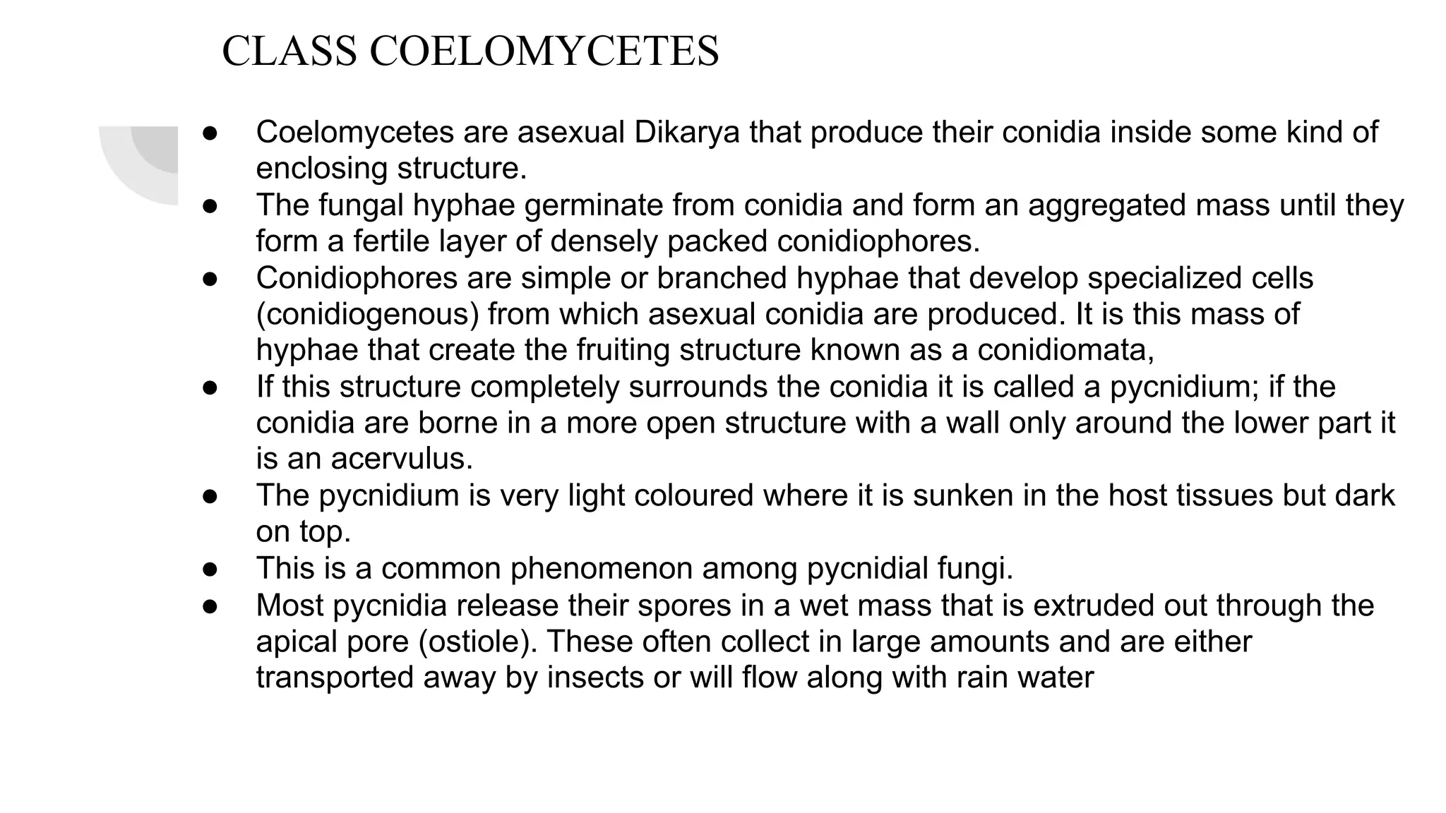 DEUTEROMYCOTINA | PDF