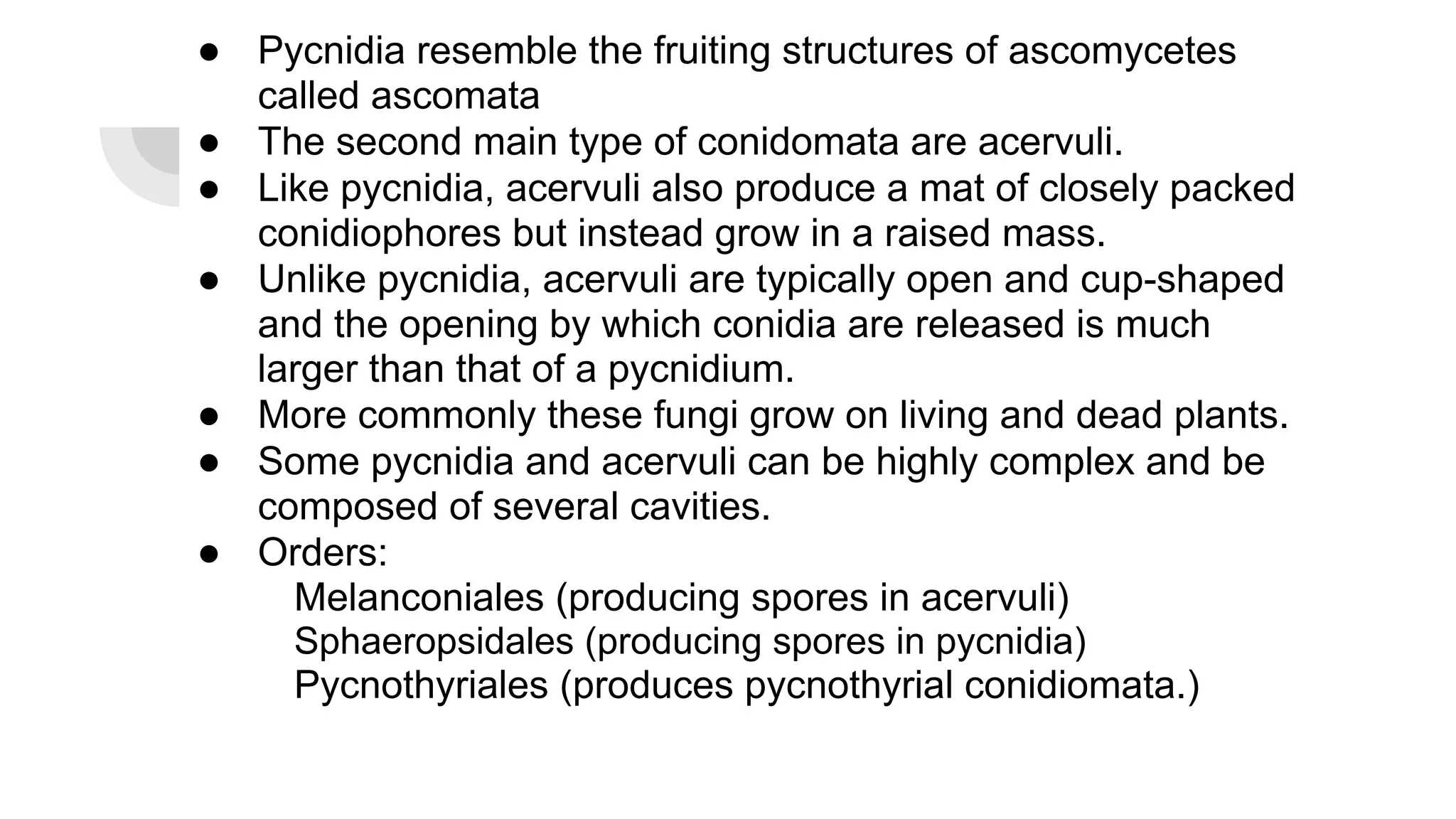 DEUTEROMYCOTINA | PDF