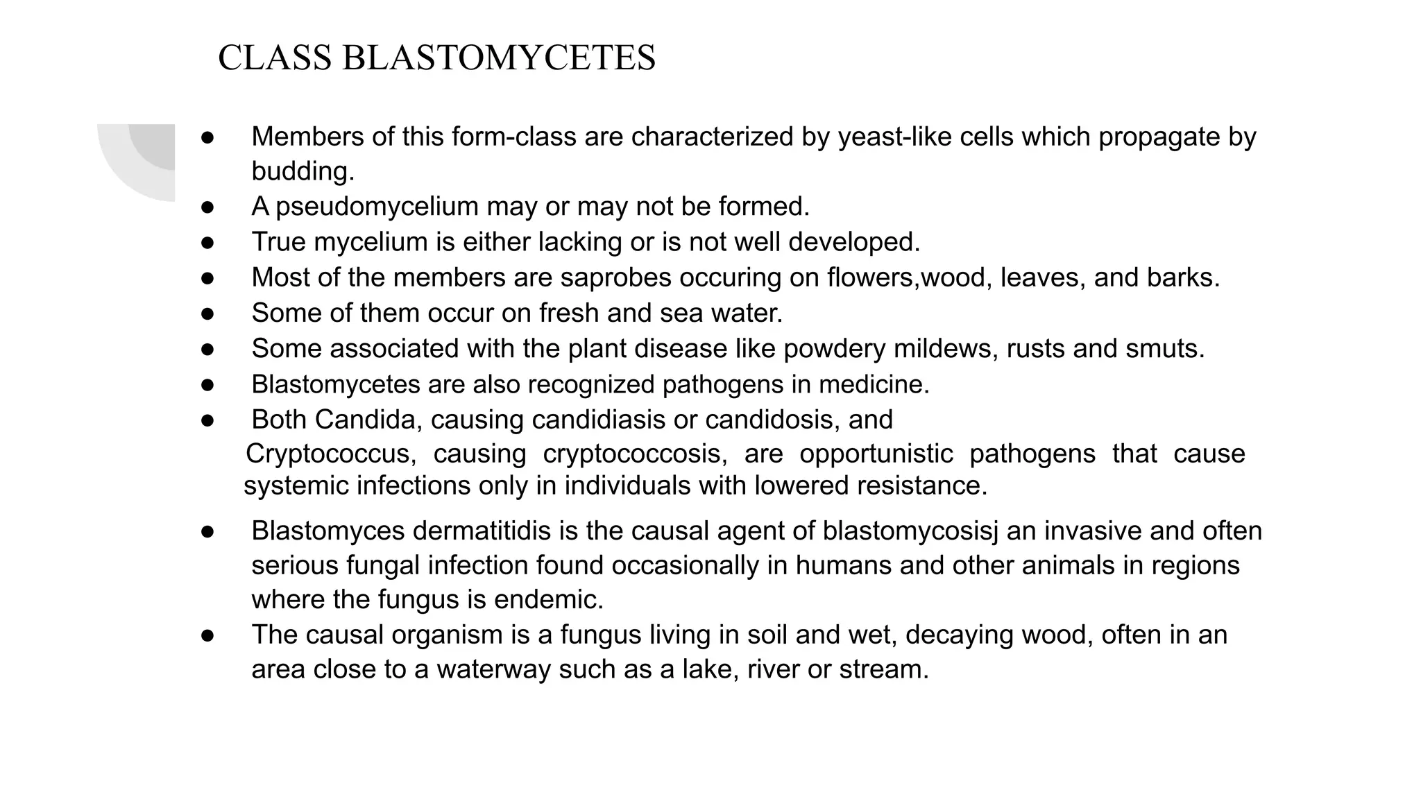 DEUTEROMYCOTINA | PDF