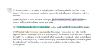 DEUTEROMYCOTINA | PDF