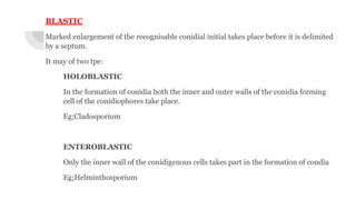 DEUTEROMYCOTINA | PDF