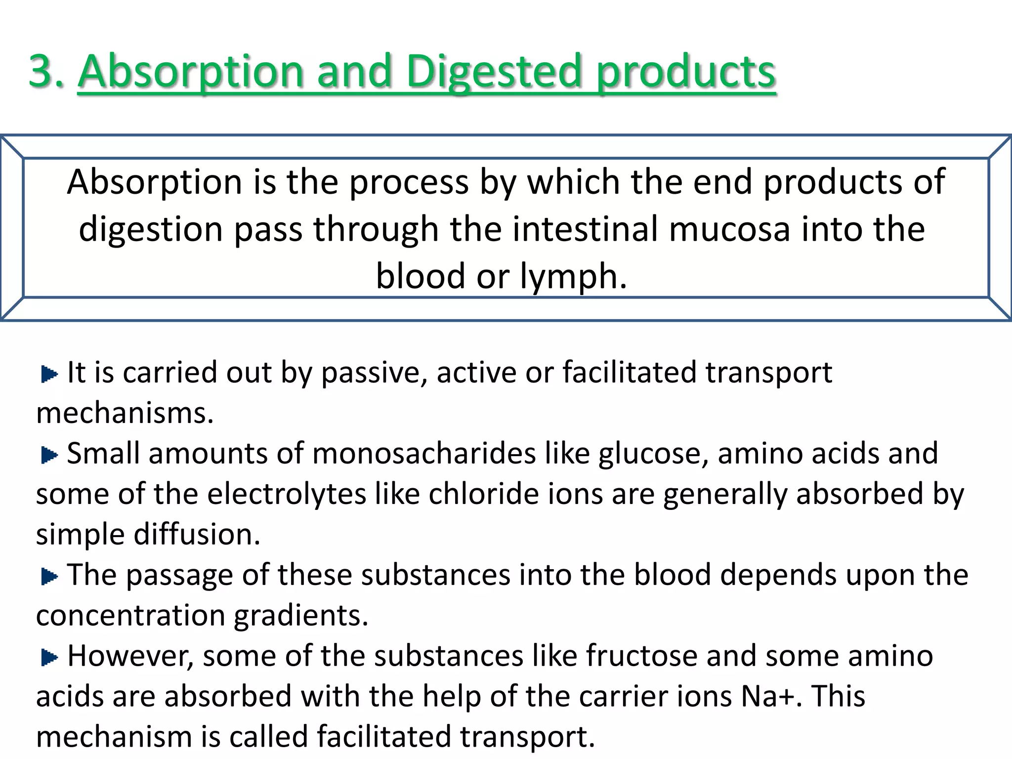 Digestion and Absorption - Class 11 ppt | PPTX
