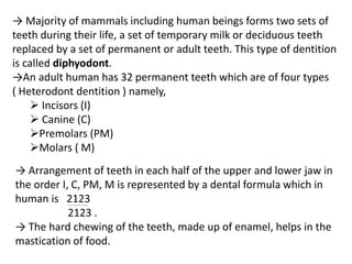 Digestion and Absorption - Class 11 ppt | PPTX