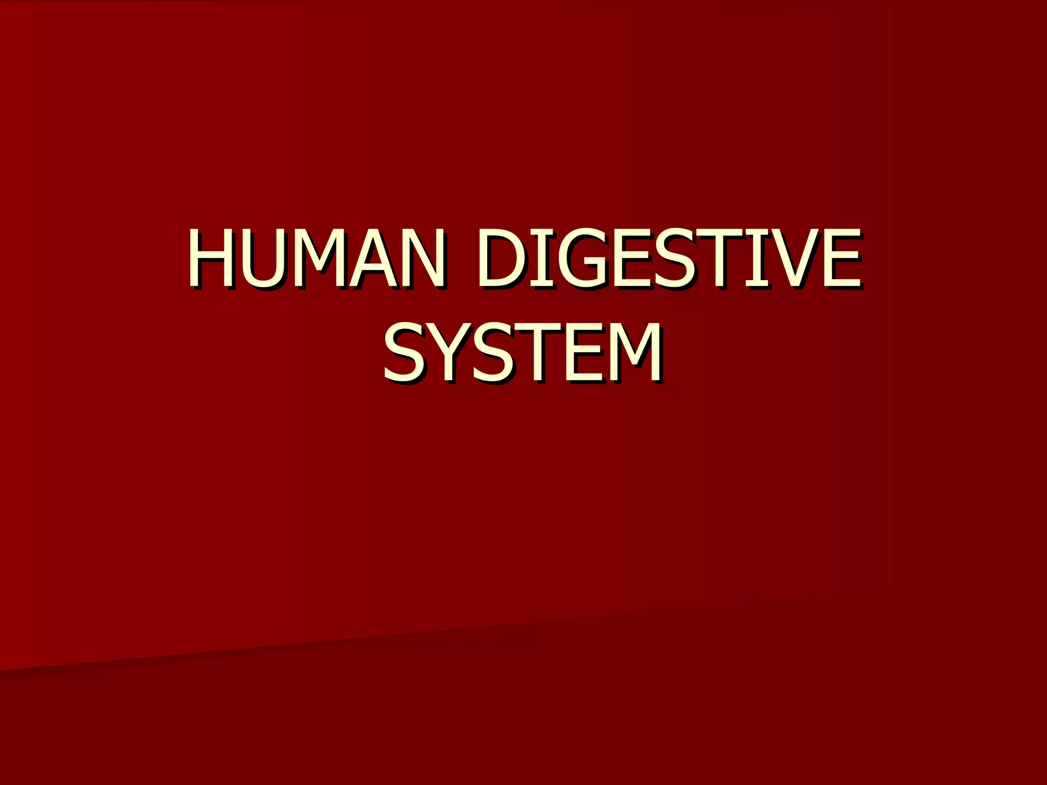 digestive system | PPT