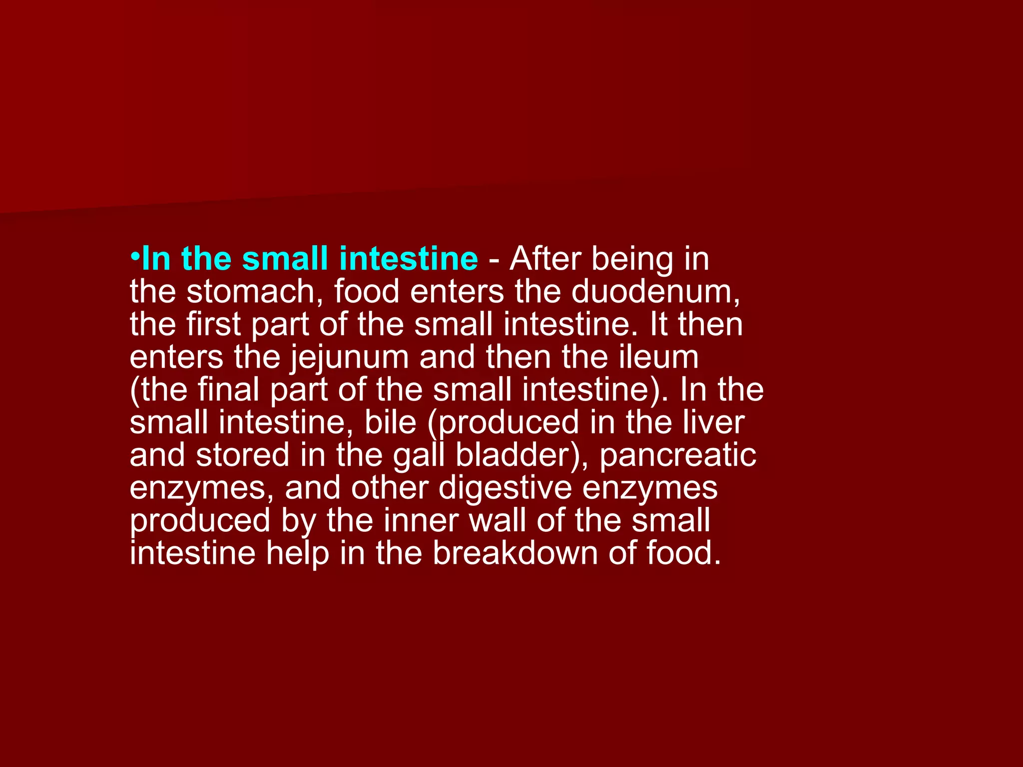 digestive system | PPT