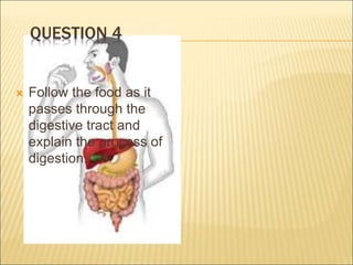 Copy of Digestive System.ppt DIGESTIVE SYSTEM AND ITS FUNCTIONS | PPT