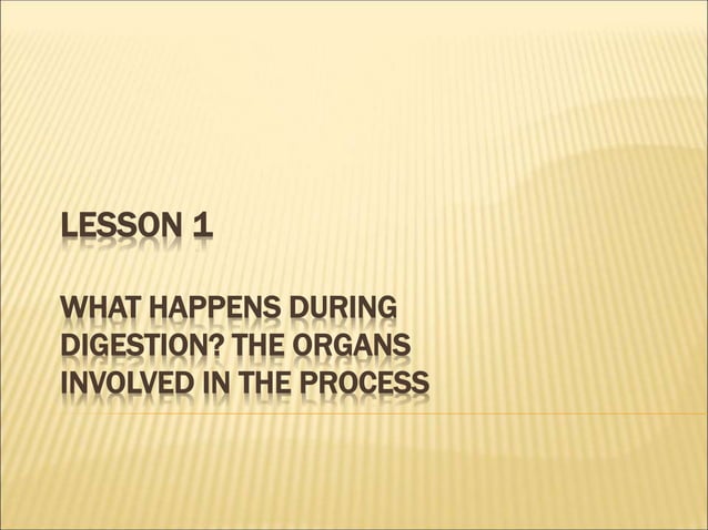 Copy of Digestive System.ppt DIGESTIVE SYSTEM AND ITS FUNCTIONS | PPT