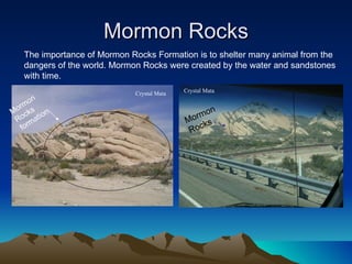 Copy of digital photo journal | PPT