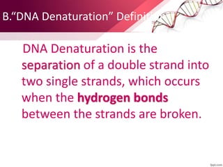 DNA Denaturation | PPTX