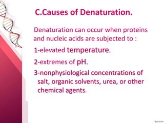 DNA Denaturation | PPTX