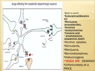 Drugs Of Abuse | PPT