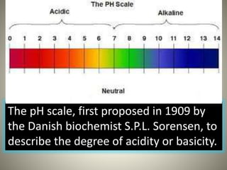 The PH Scale | PPTX