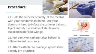 Copy of Female Urinary catheterization.pptx