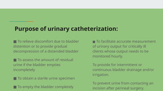 Copy of Female Urinary catheterization.pptx