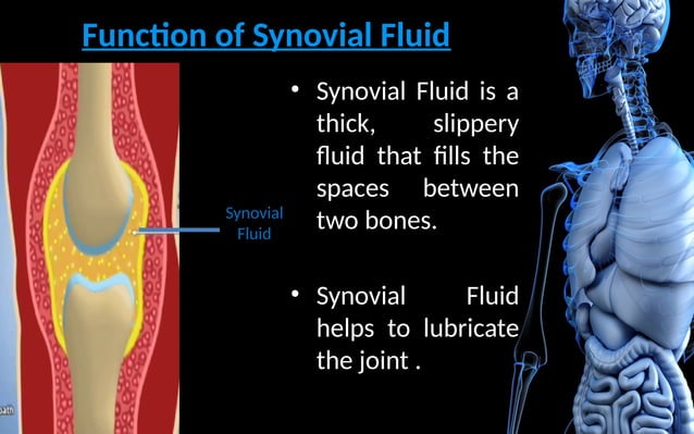 Copy of Fixed and Moveable Joints, tendonspptx | PPT