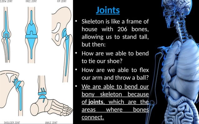 Copy of Fixed and Moveable Joints, tendonspptx | PPT