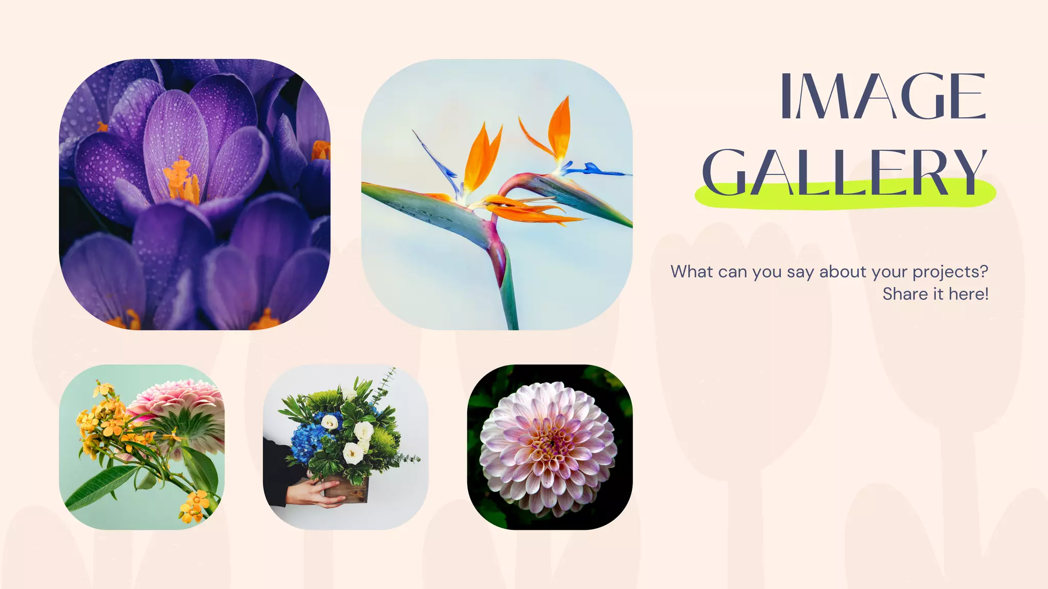 Copy of Flourish and Colorful Aesthetic Pitch Deck.pdf