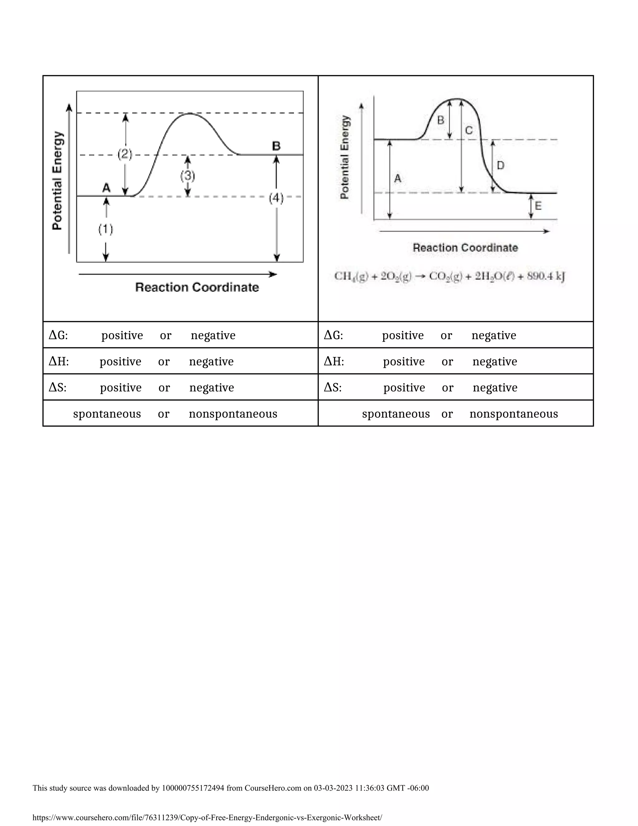 Copy_of_Free_Energy_Endergonic_vs_Exergonic_Worksheet.pdf
