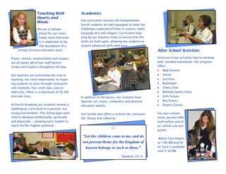 Everitt Academy Brochure | PDF | Professional School | Postgraduate ...