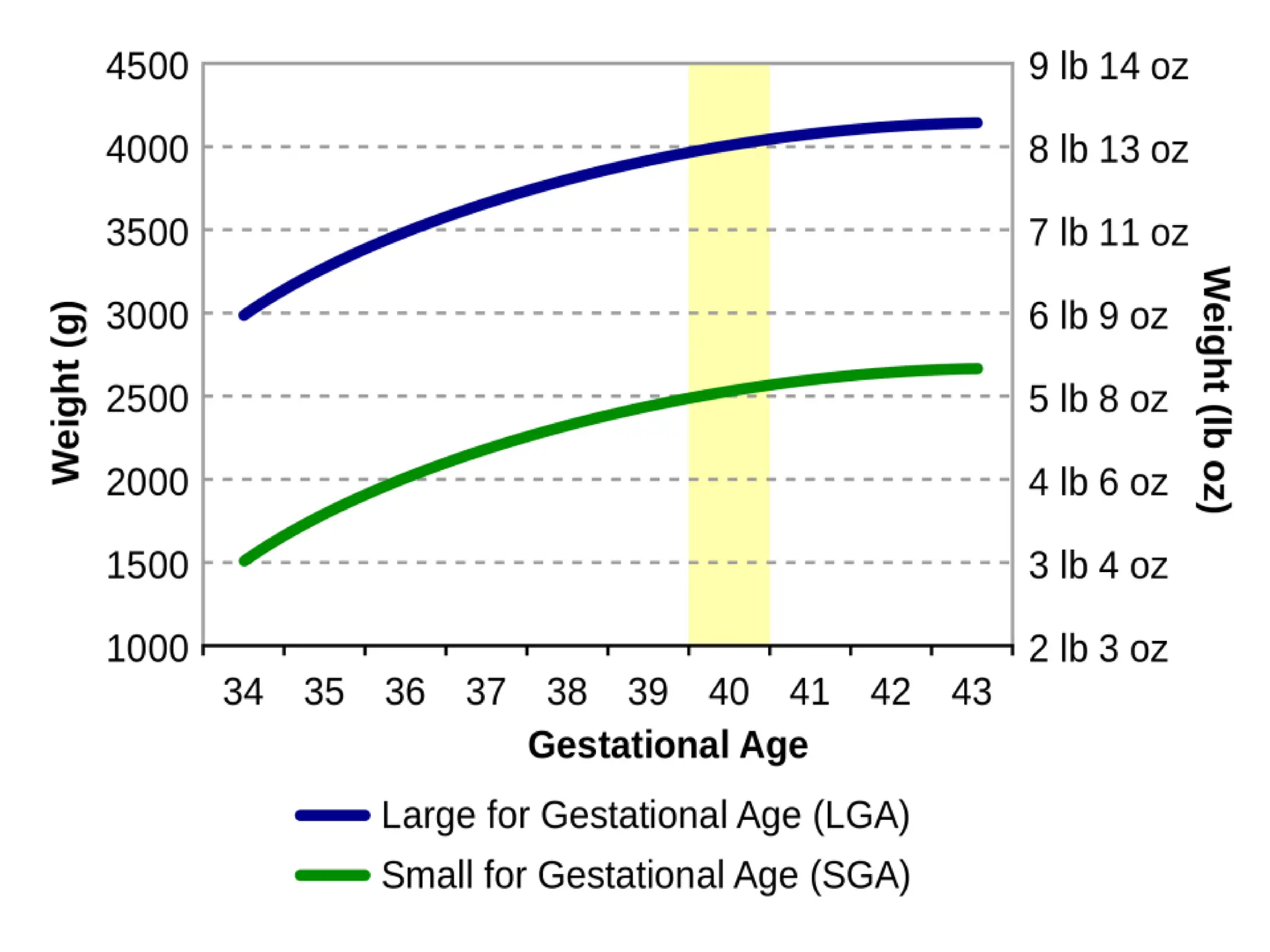 gestational age for neonates by ballard score.pptx