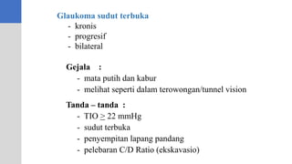 Copy of glaukoma (1).pptx