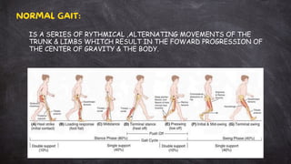 Copy of GRF and gait normal and abnormal.pdf