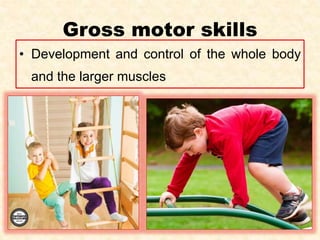 Growth and development | PPT