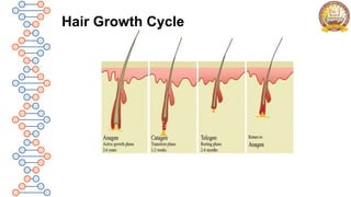 Forensic Analysis of Hair and Textile Fibers in Crime Investigation | PPTX