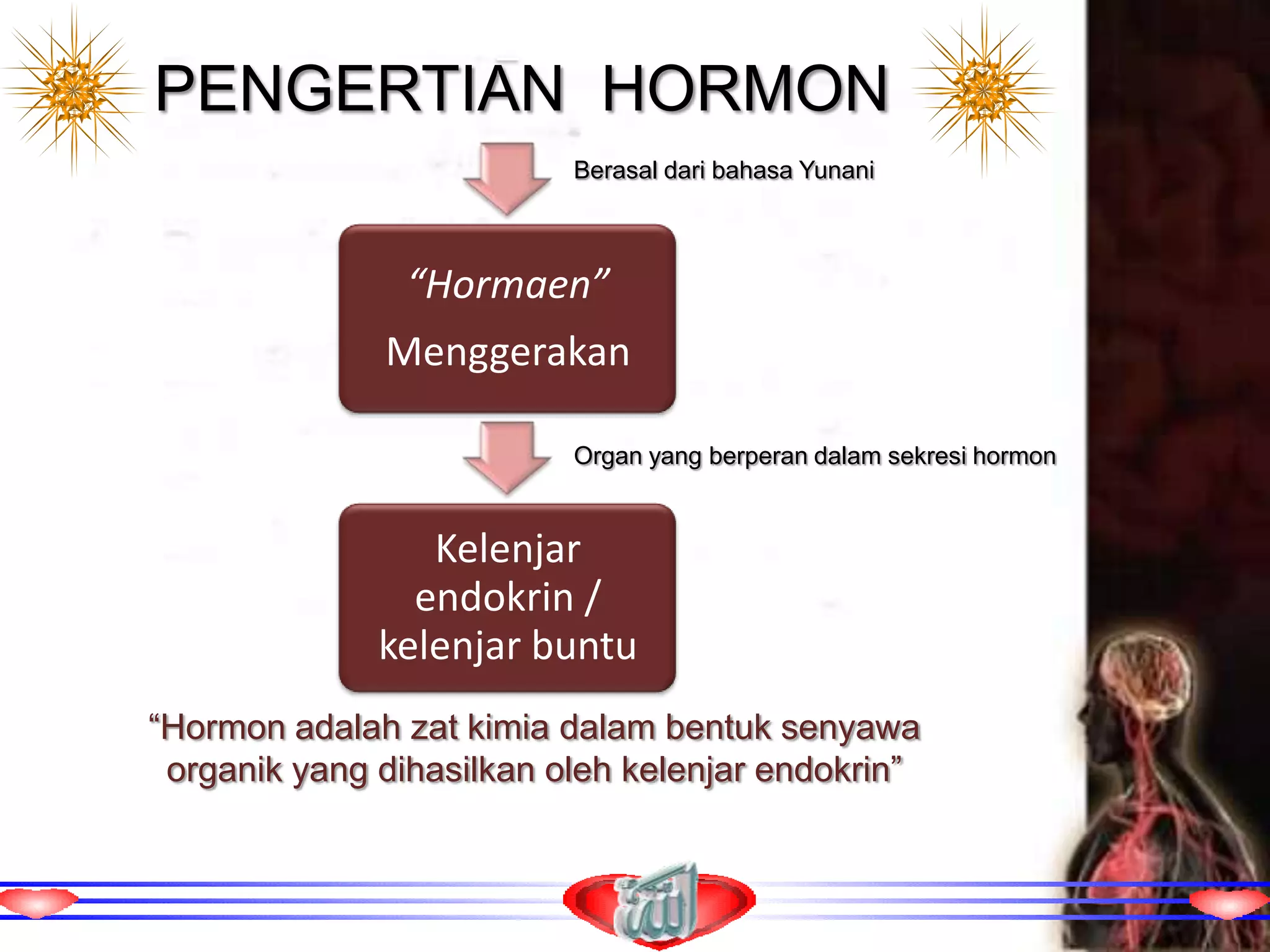 sistem hormon | PPTX