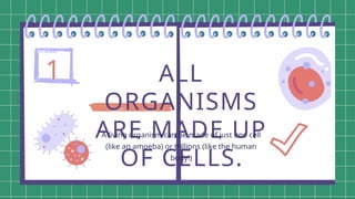 Copy of Illustrative Notebook Cell Theory Lesson for Middle School.pptx