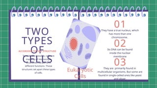 Copy of Illustrative Notebook Cell Theory Lesson for Middle School.pptx