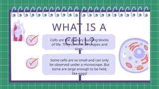 Copy of Illustrative Notebook Cell Theory Lesson for Middle School.pptx