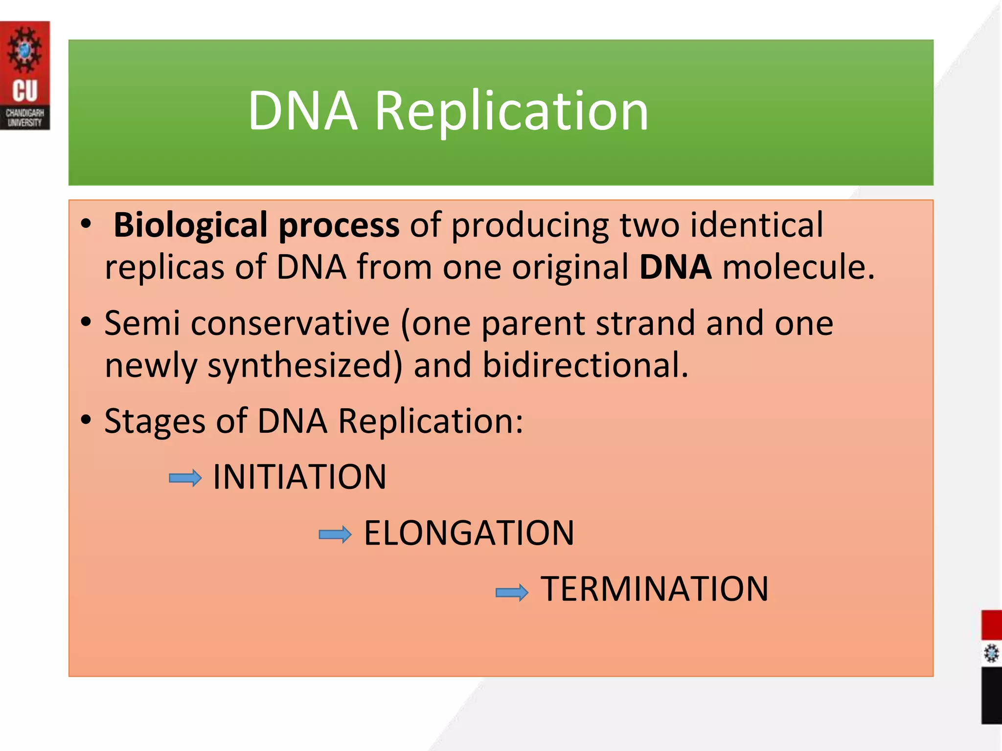 initiation in eukaryotes during replication process | PPTX
